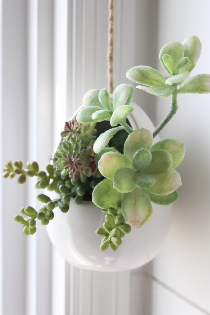 How to Make Mini Succulent Arrangements